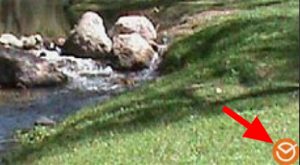 How to Add Watermarks Your Social Media Image Uploads